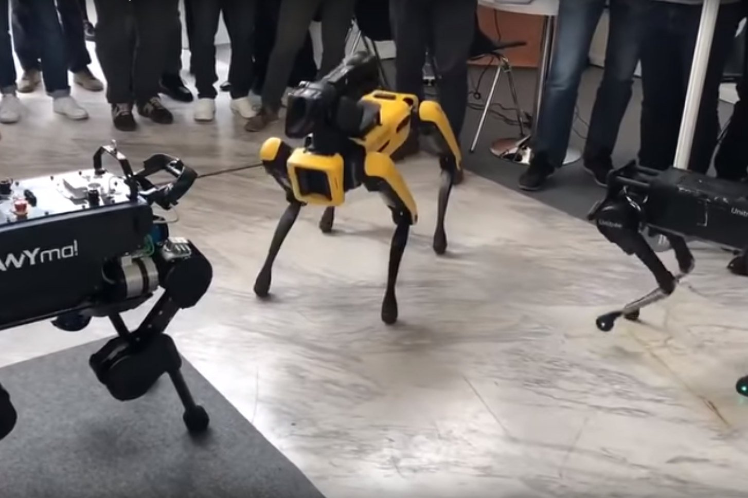 Robo-psy coraz bardziej doskonałe [video] | elektrotechnik AUTOMATYK